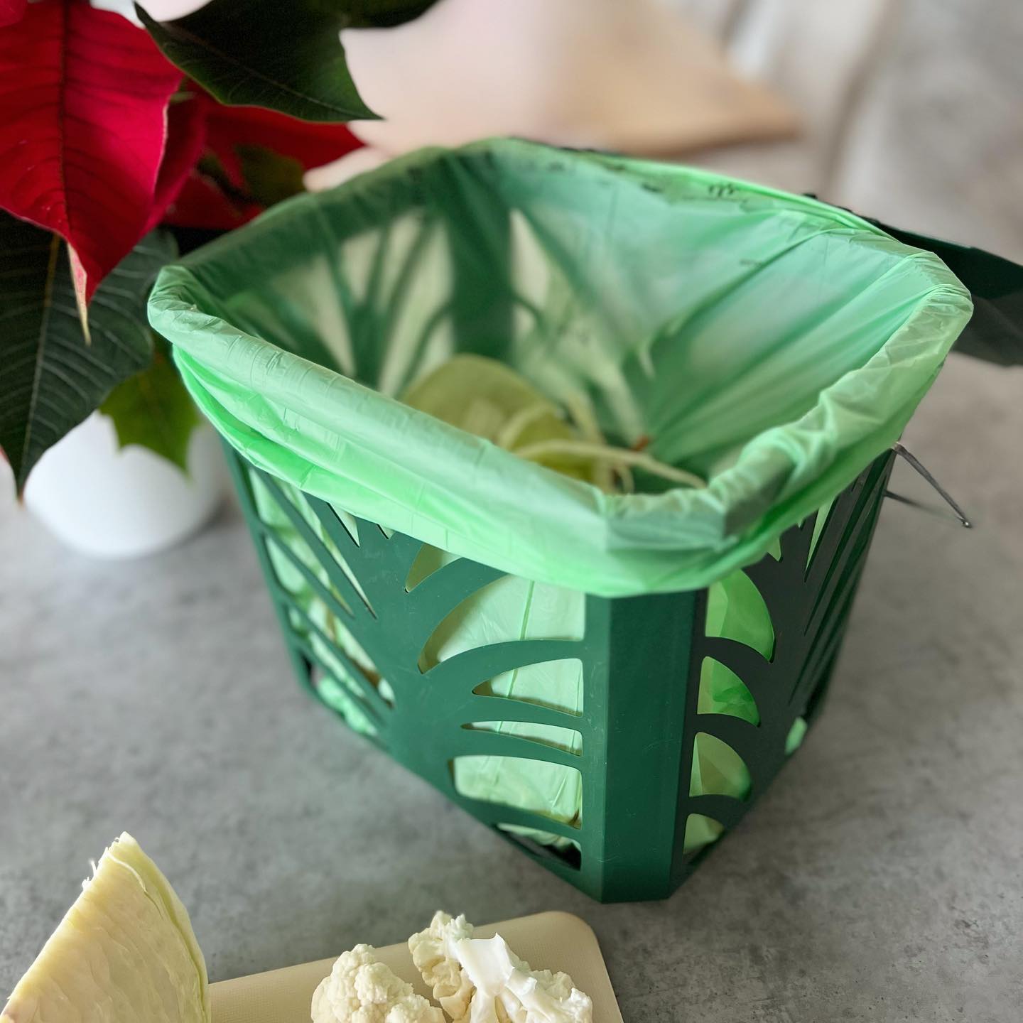 Nakládání s domácím bioodpadem | BioBag.cz